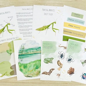 Praying Mantis Unit Study | Homeschool Nature School | Worksheets ...