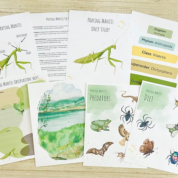 Praying Mantis - Etsy