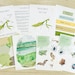 Praying Mantis Unit Study | Homeschool Nature School | Worksheets ...