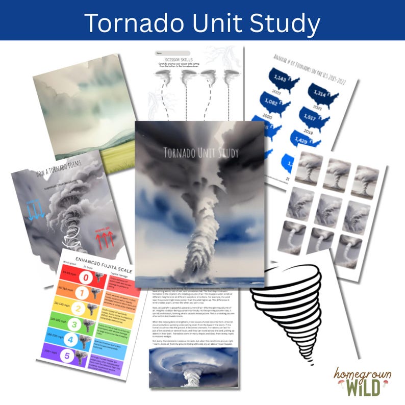 Tornado Unit Study | Extreme Weather | Natural Disaster | Twister ...