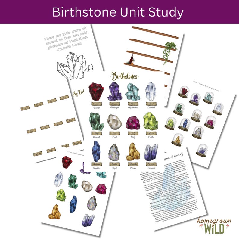 Birthstone Unit Study | Homeschool | Gemstones | Unit Study | Birthday ...