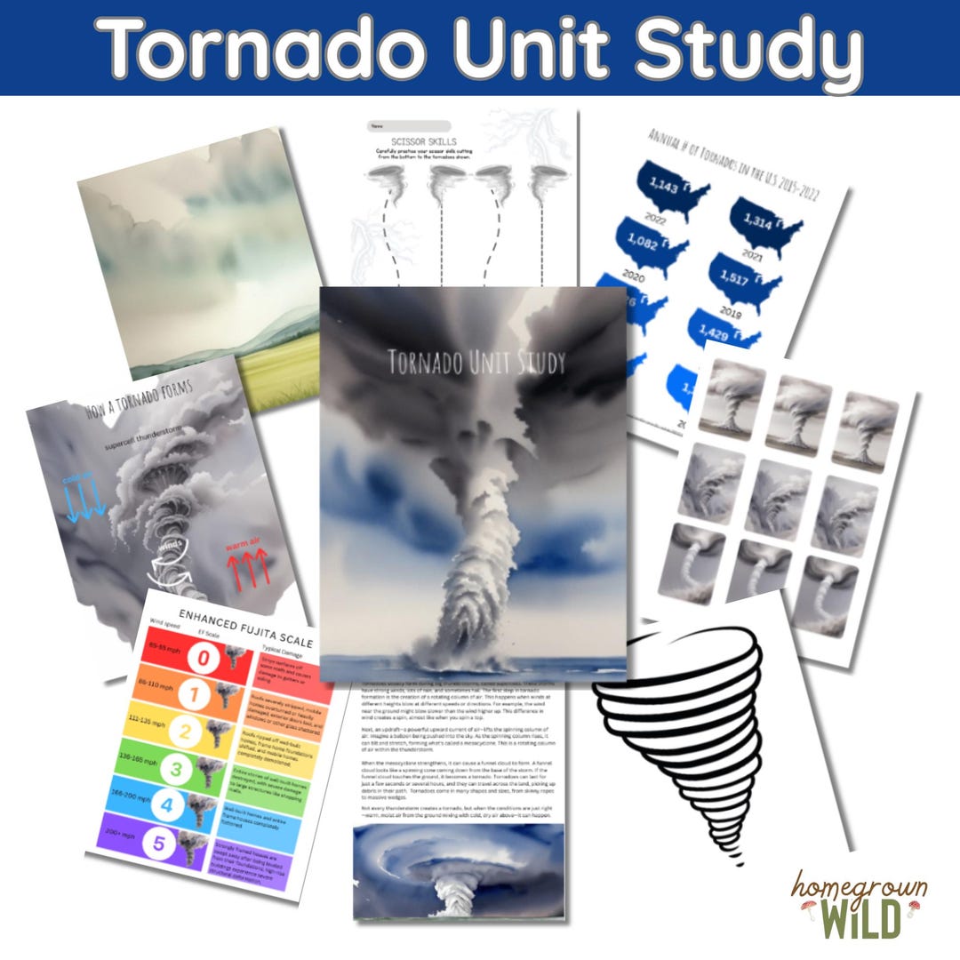 Tornado Unit Study | Extreme Weather | Natural Disaster | Twister ...