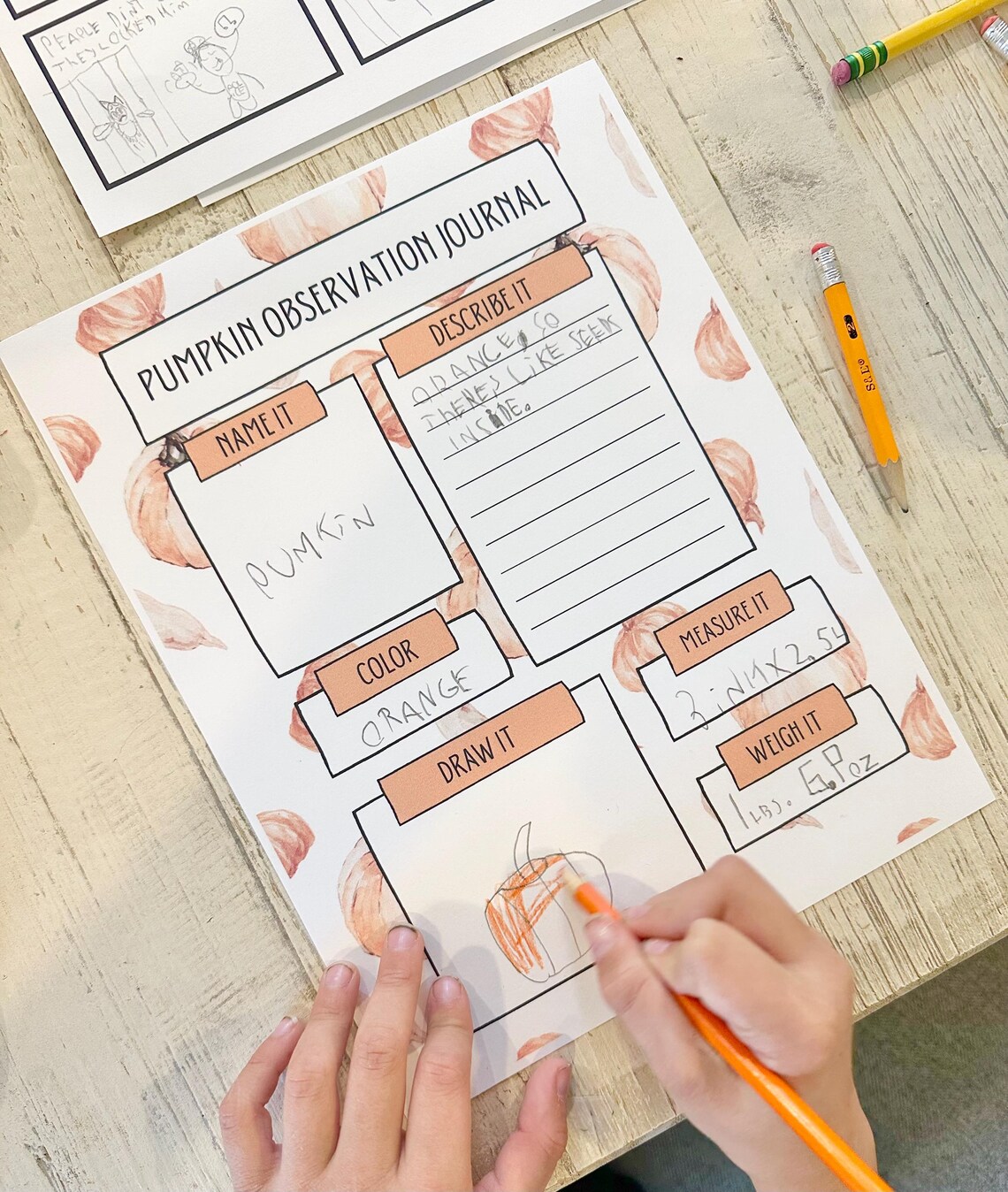 Pumpkin Unit Study | Fall Seasonal | Homeschool Autumn Printable ...