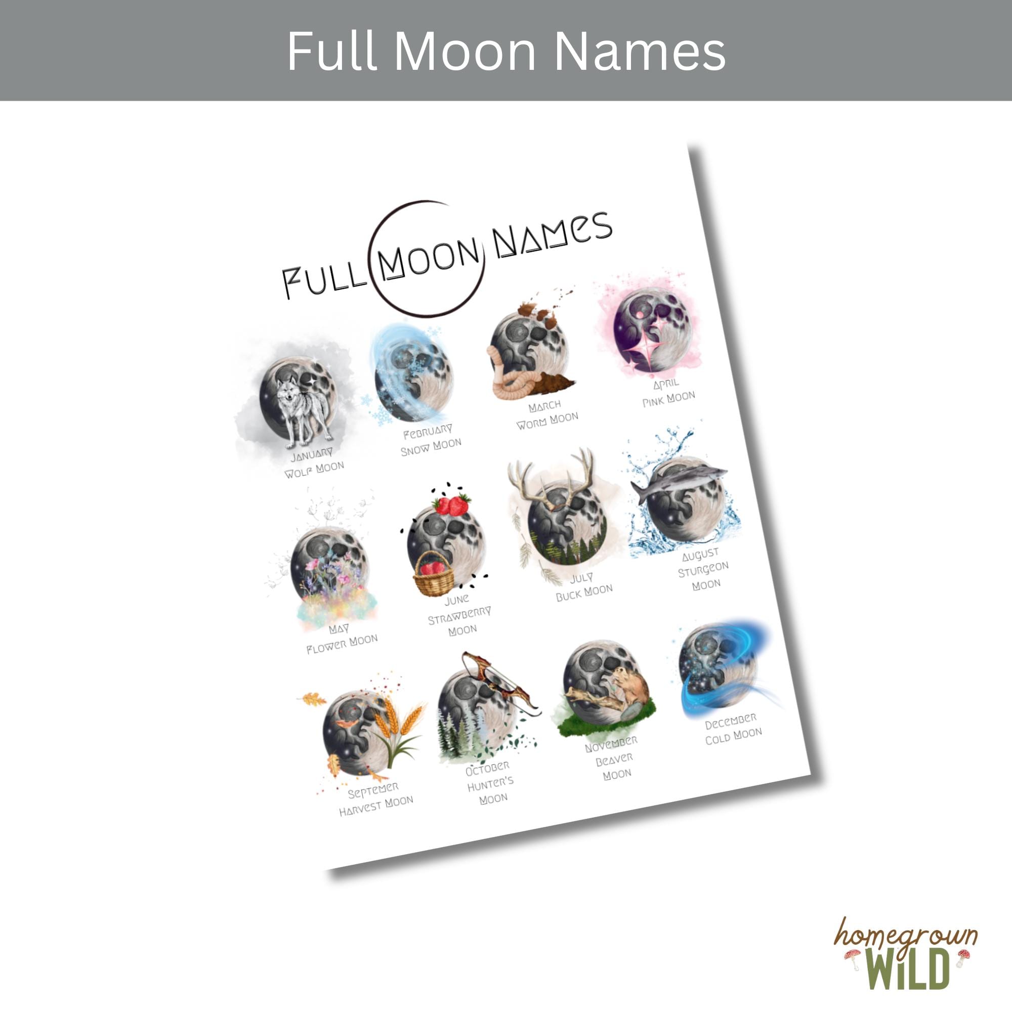Full Moon Names Poster | Homeschool Nature Study | Home Learning ...