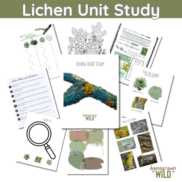 Lichen - Etsy