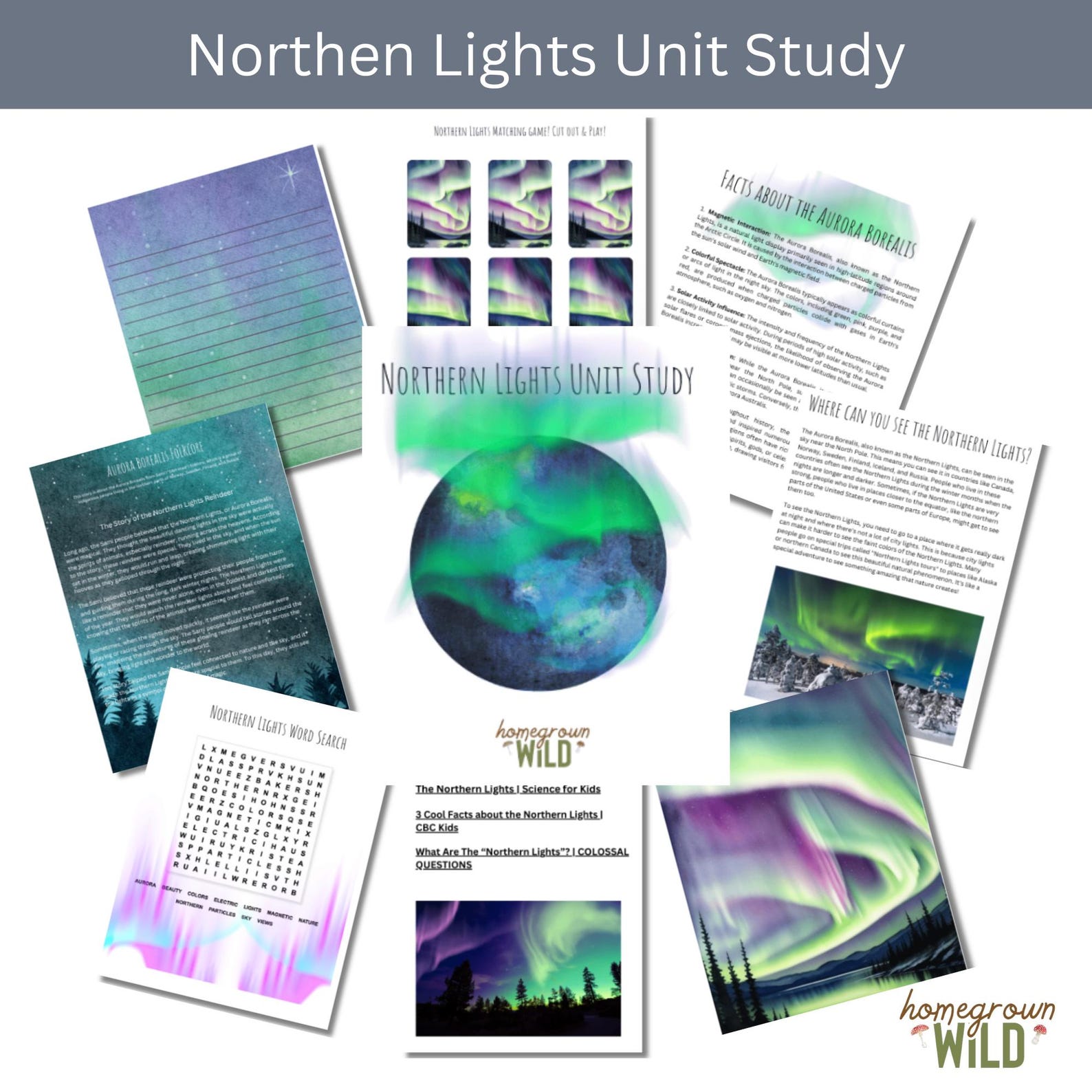 Northern Lights Unit Study | Aurora Borealis | Digital Homeschool ...