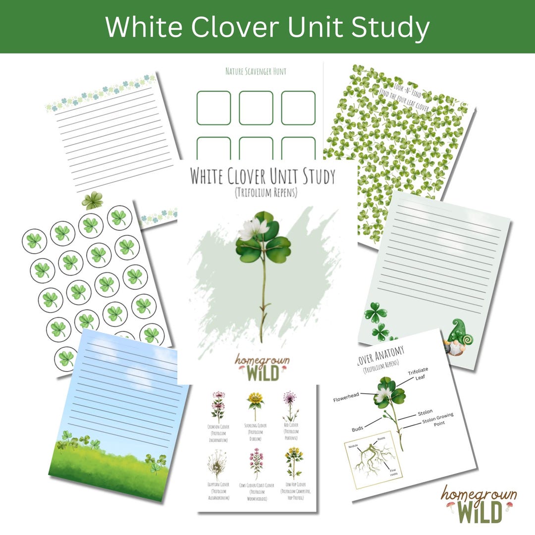 White Clover Unit Study: Homeschool Activity Packet (digital Download ...