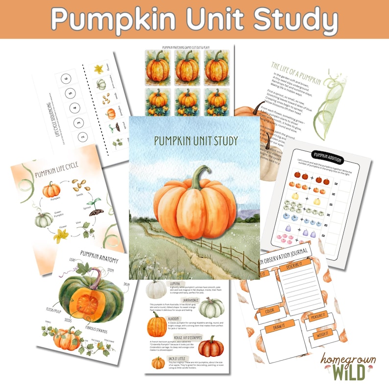 Pumpkin Unit Study | Fall Seasonal | Homeschool Autumn Printable ...