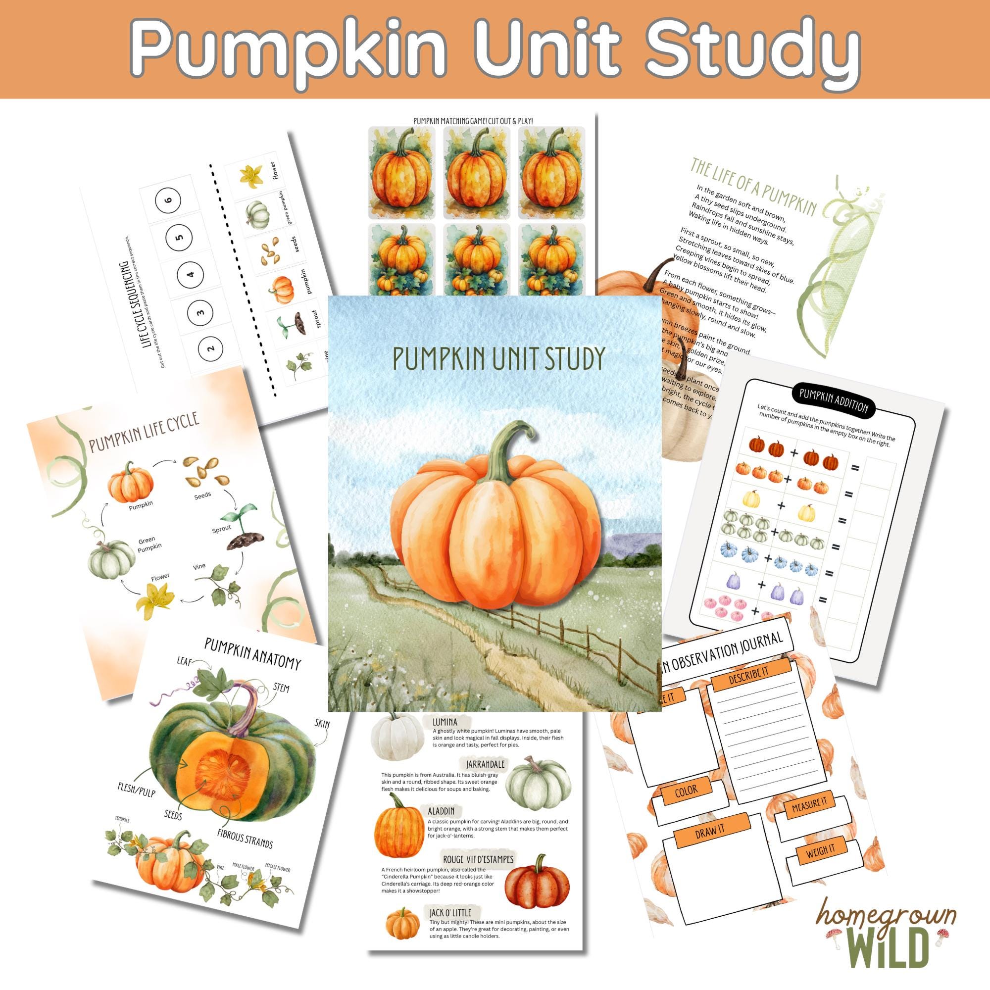 Pumpkin Unit Study | Fall Seasonal | Homeschool Autumn Printable ...