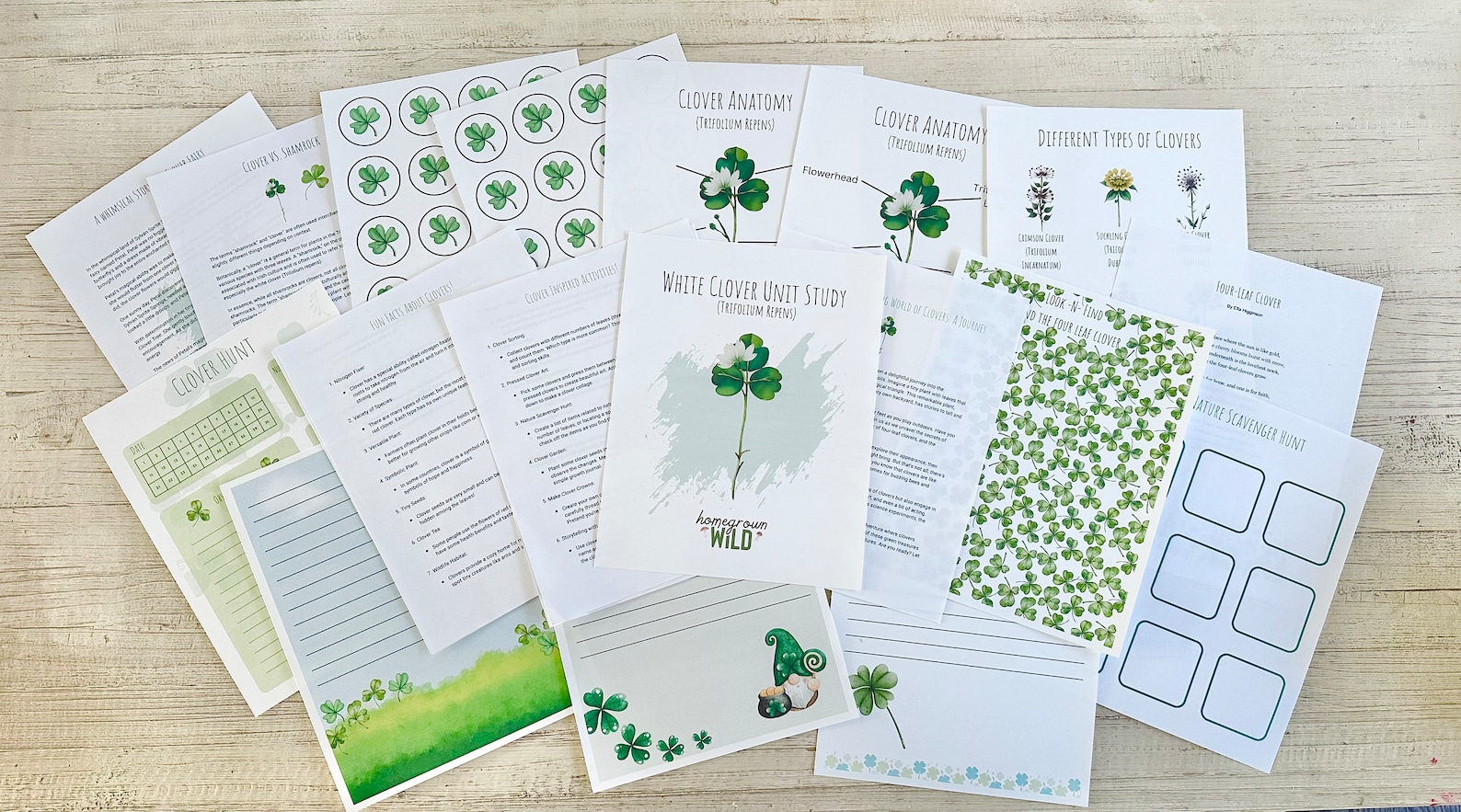 White Clover Unit Study: Homeschool Activity Packet (digital Download ...