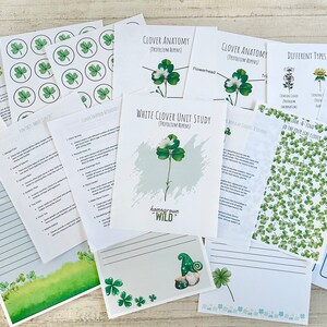 White Clover Unit Study: Homeschool Activity Packet (digital Download ...