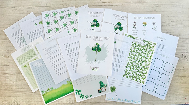 White Clover Unit Study: Homeschool Activity Packet (digital Download ...