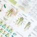 Cicada Unit Study | Homeschool | Insect | Digital Worksheets | Nature ...