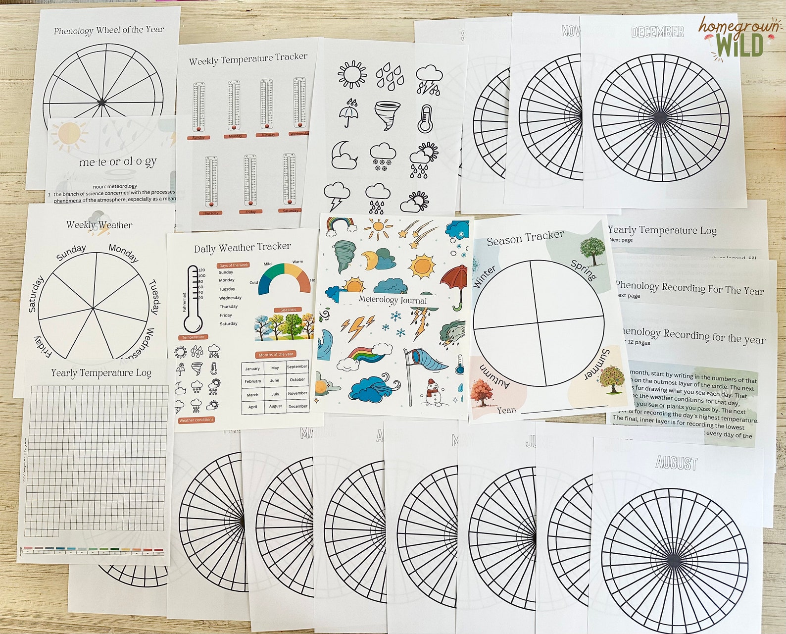 Meteorology Journal: Weather Tracker, Homeschool Guide (digital ...