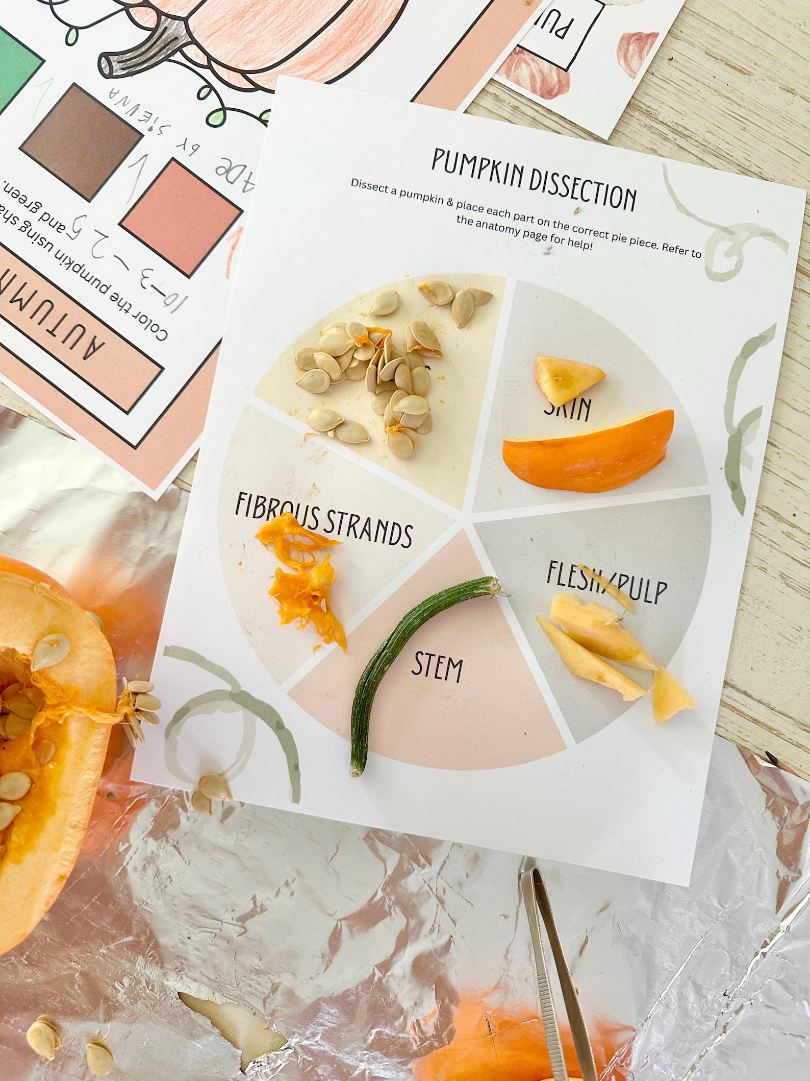 Pumpkin Unit Study | Fall Seasonal | Homeschool Autumn Printable ...