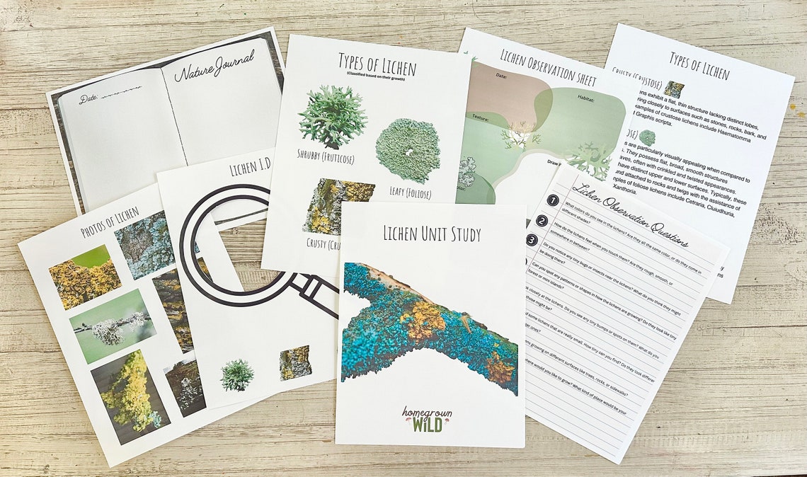 Lichen Unit Study Homeschool Wildschooling Nature School Worksheets - Etsy