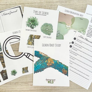 Lichen Unit Study Homeschool Wildschooling Nature School Worksheets - Etsy