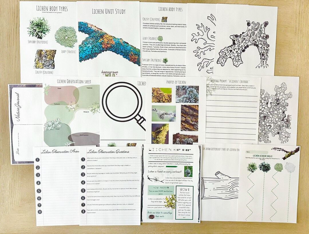 Lichen Unit Study | Homeschool | Wildschooling | Nature School | Moss ...