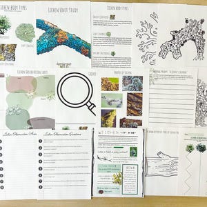 Lichen Unit Study | Homeschool | Wildschooling | Nature School | Moss ...