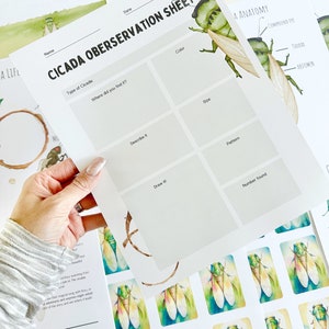 Cicada Unit Study | Homeschool | Insect | Digital Worksheets | Nature ...