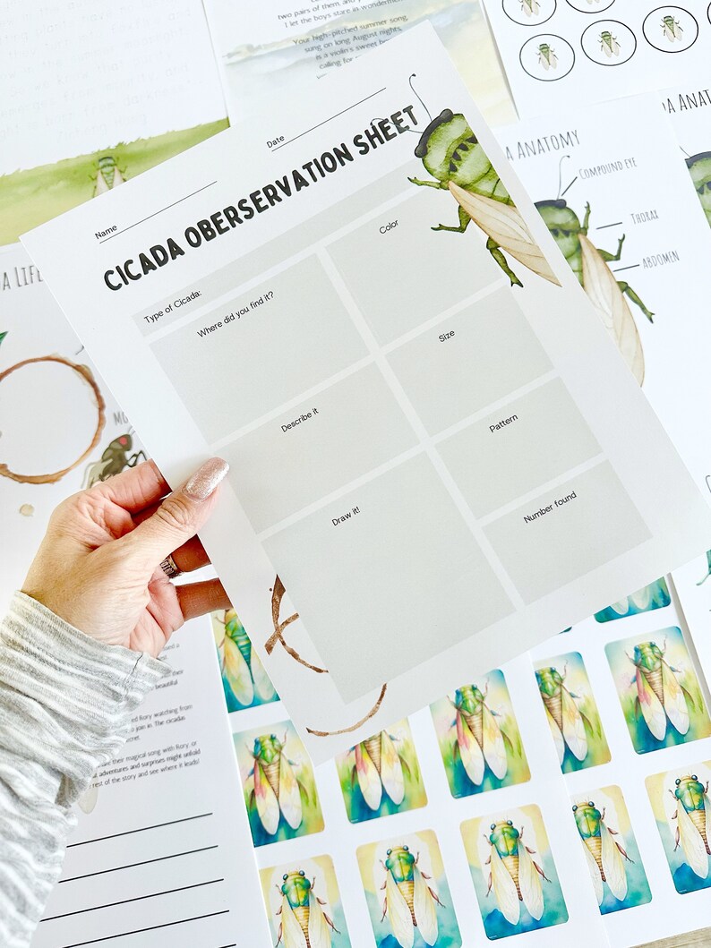 Cicada Unit Study | Homeschool | Insect | Digital Worksheets | Nature ...