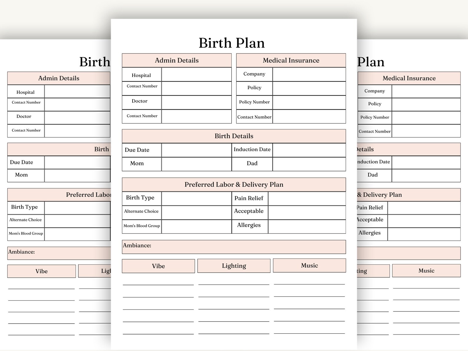 Birth Plan Template New Mom Planner Labor and Delivery Birth ...