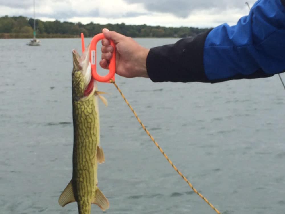 Fishlifter Fish Lifter Holder Hook Remover Handle Gripper Easy Grabber ...