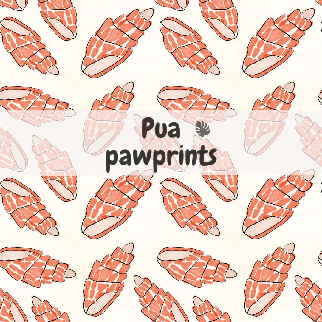 Miter Shell Watercolor Seamless Pattern - Etsy