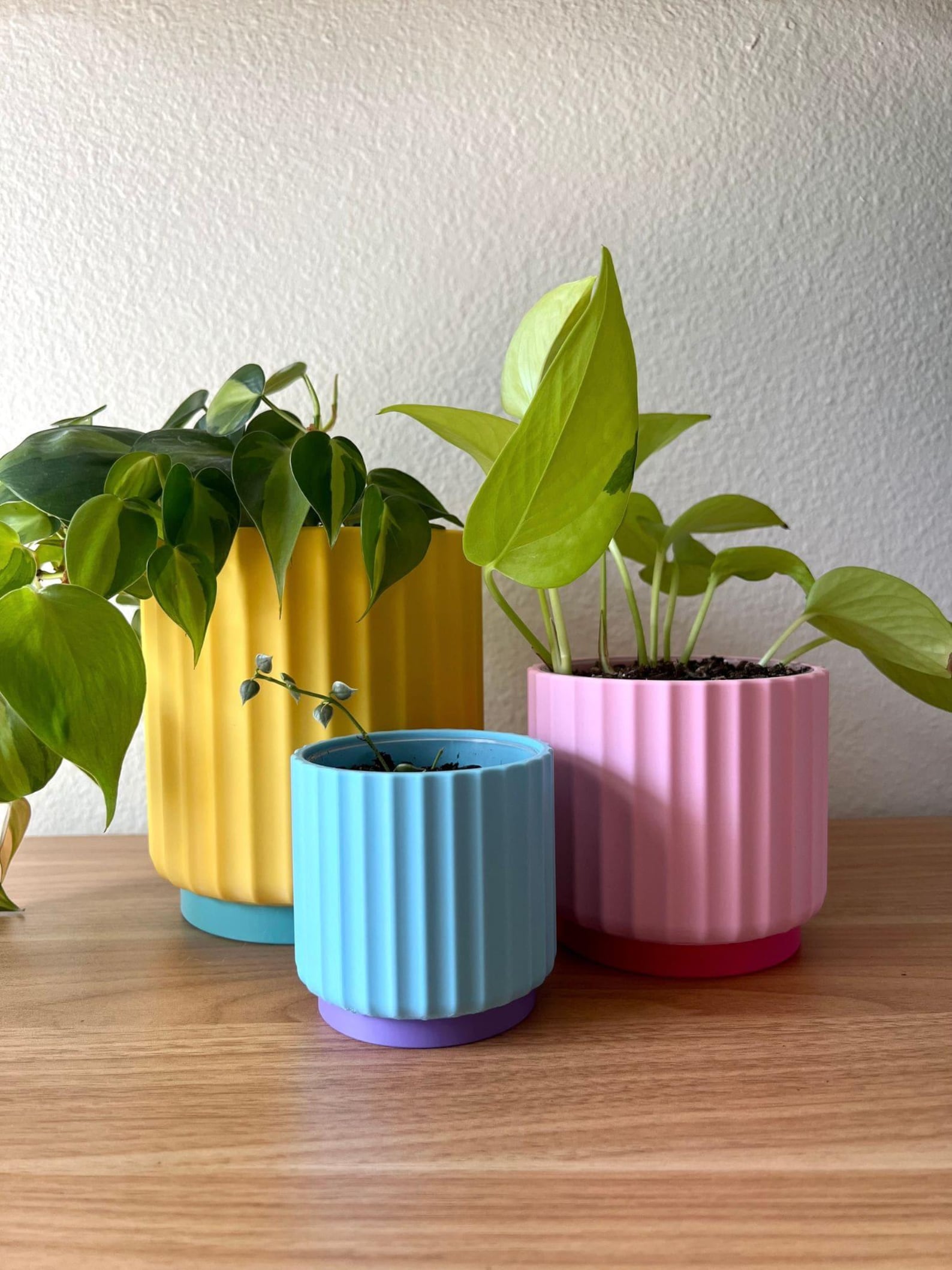 Color Pop Rainbow Planter Trio: 3D Printed Colorful Plant Pot Set - Fun ...