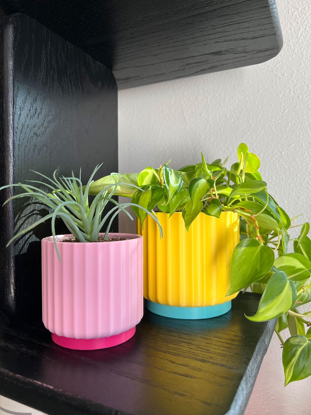 Color Pop Planters: Dreamhouse Bold Pink & Ocean Vibes Yellow Plant ...