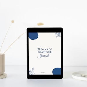21 Days of Gratitude Challenge Journal | Self-discovery, Goal Setting ...