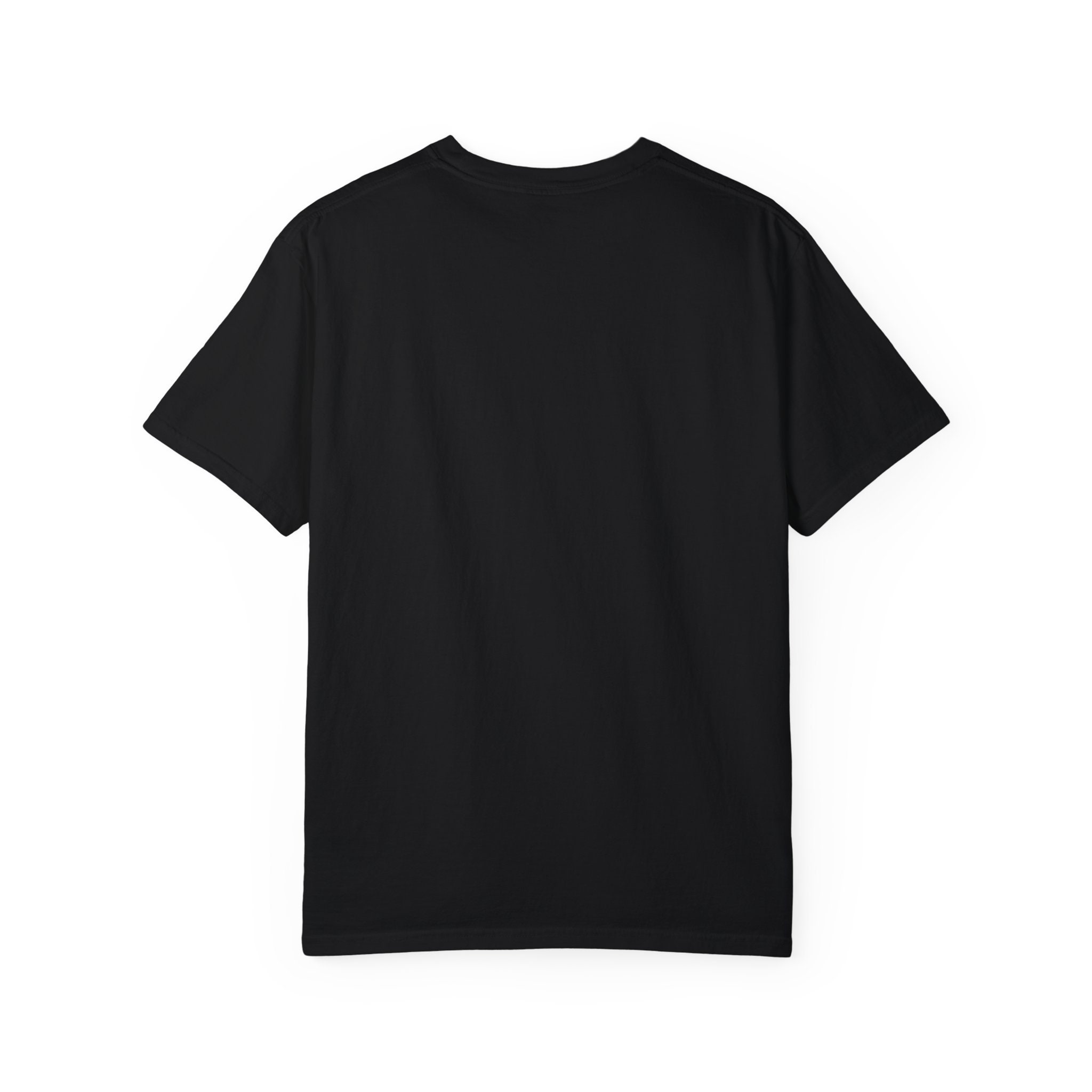 Excessively Expensive - Black Novelty T-shirt - Etsy