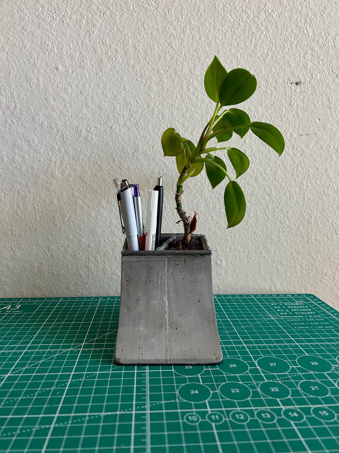 Concrete Skateboard Quarter Pipe | Fingerboard | Pencil Holder ...