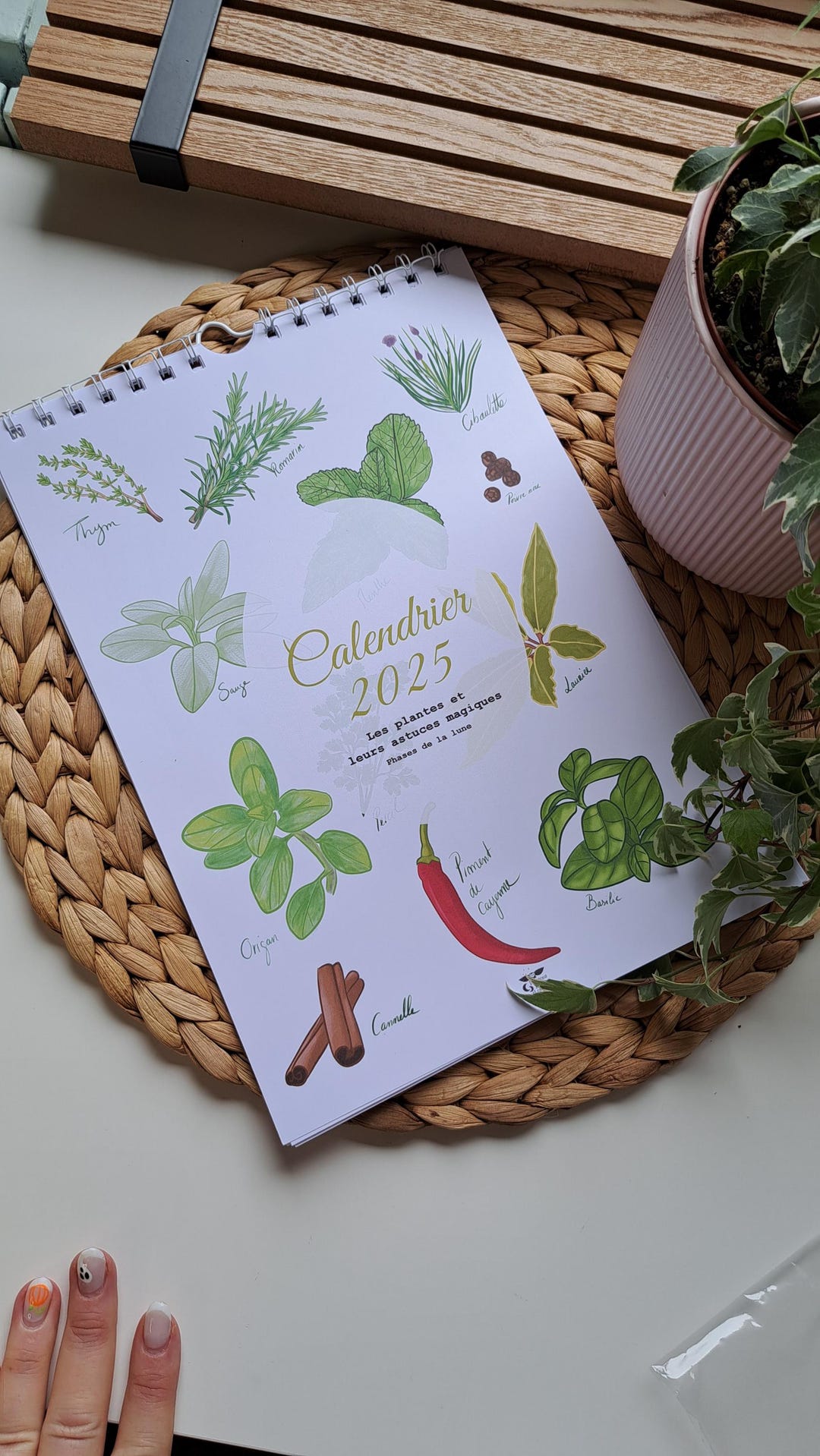 2025 Calendar Aromatic Plant - Etsy