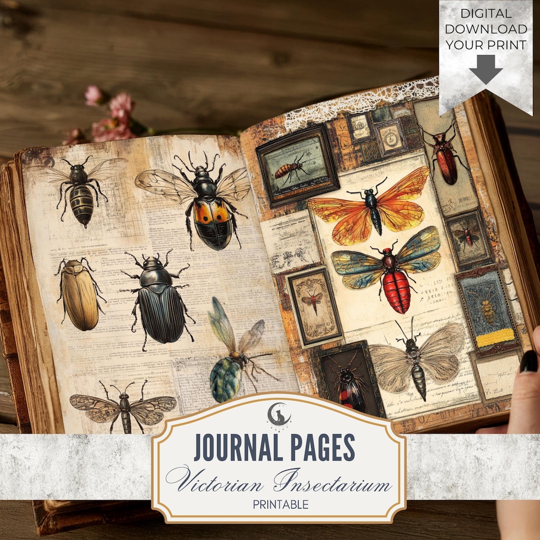 Victorian Insectarium Junk Journal Pages Set of 10 Printable 300 DPI ...