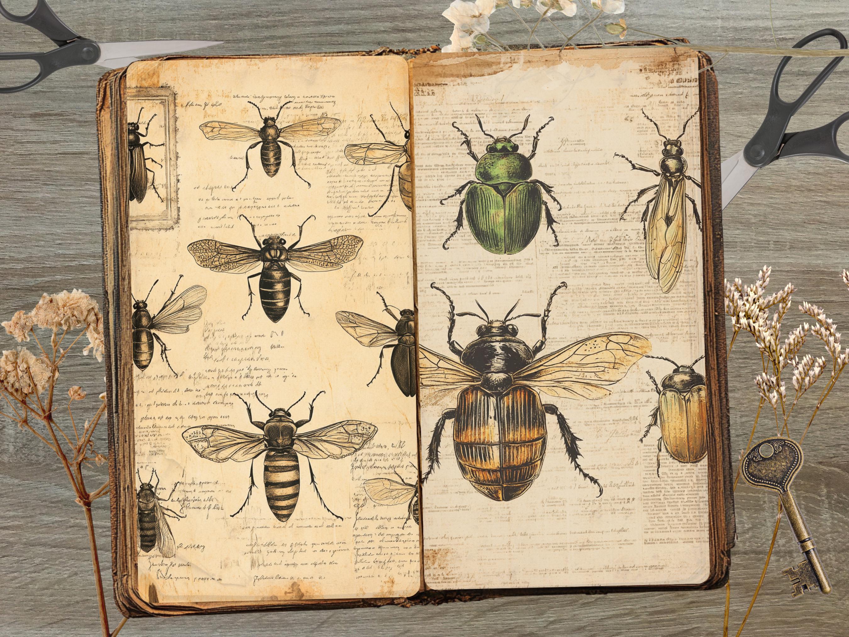 Victorian Insectarium Junk Journal Pages Set of 10 Printable 300 DPI ...