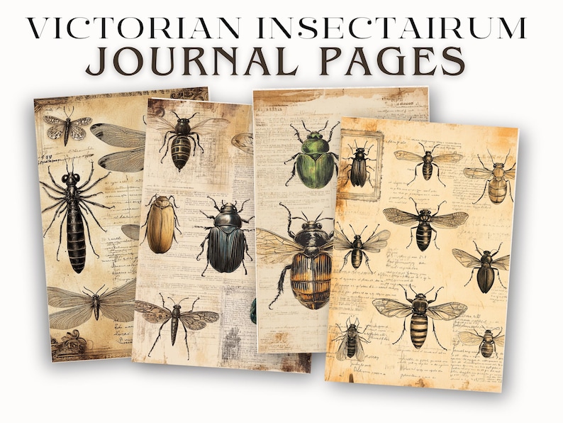 Victorian Insectarium Junk Journal Pages Set of 10 Printable 300 DPI ...