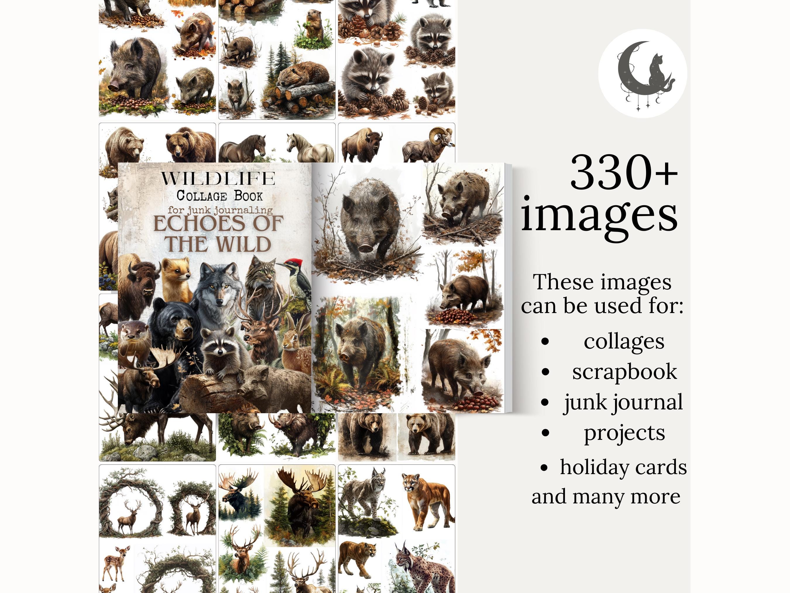 Ephemera Forest Animals Bundle Digital Collage Book Whimsical Wildlife ...