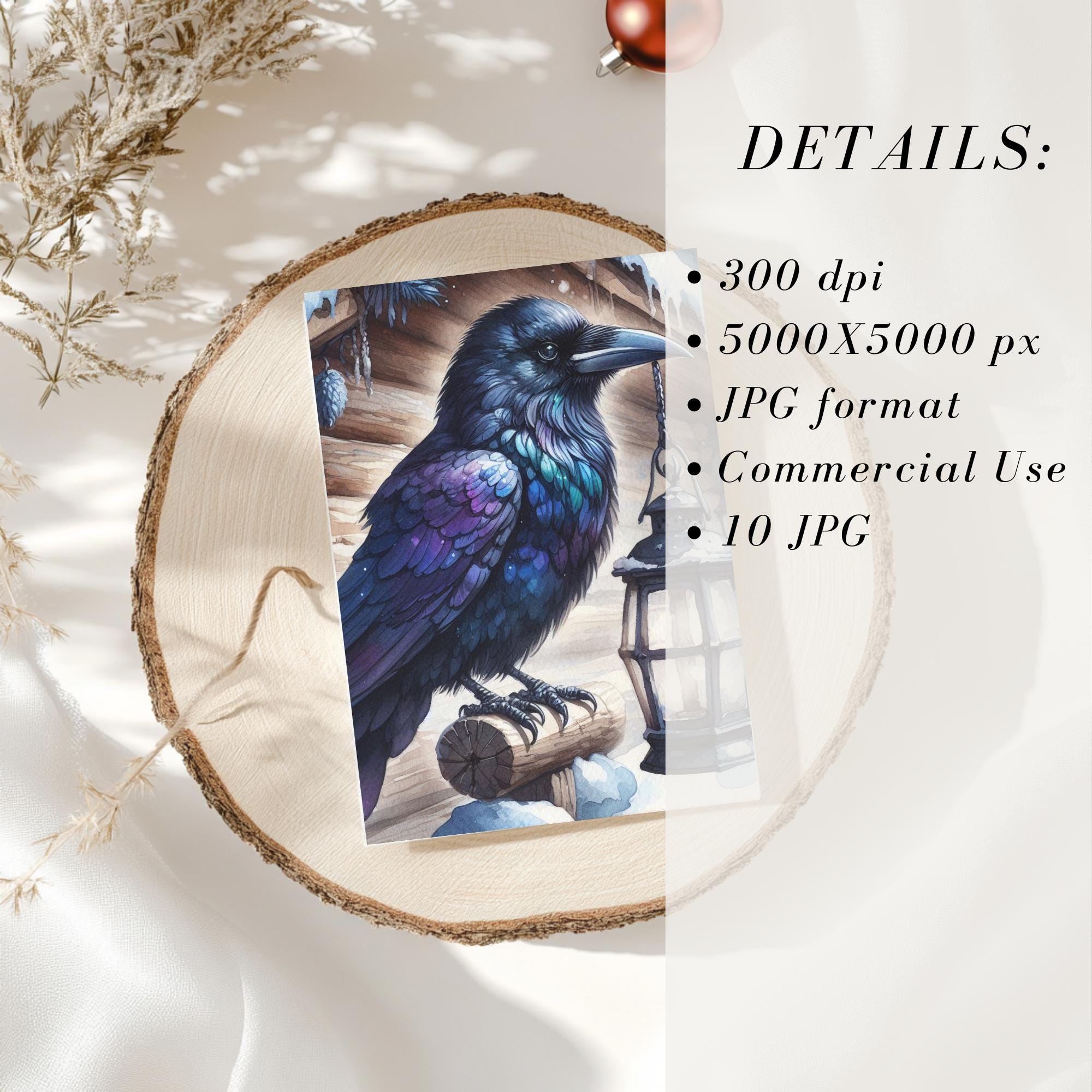 Snow Raven Watercolor Clipart Set of 10 High Quality 300 DPI Jpegs ...