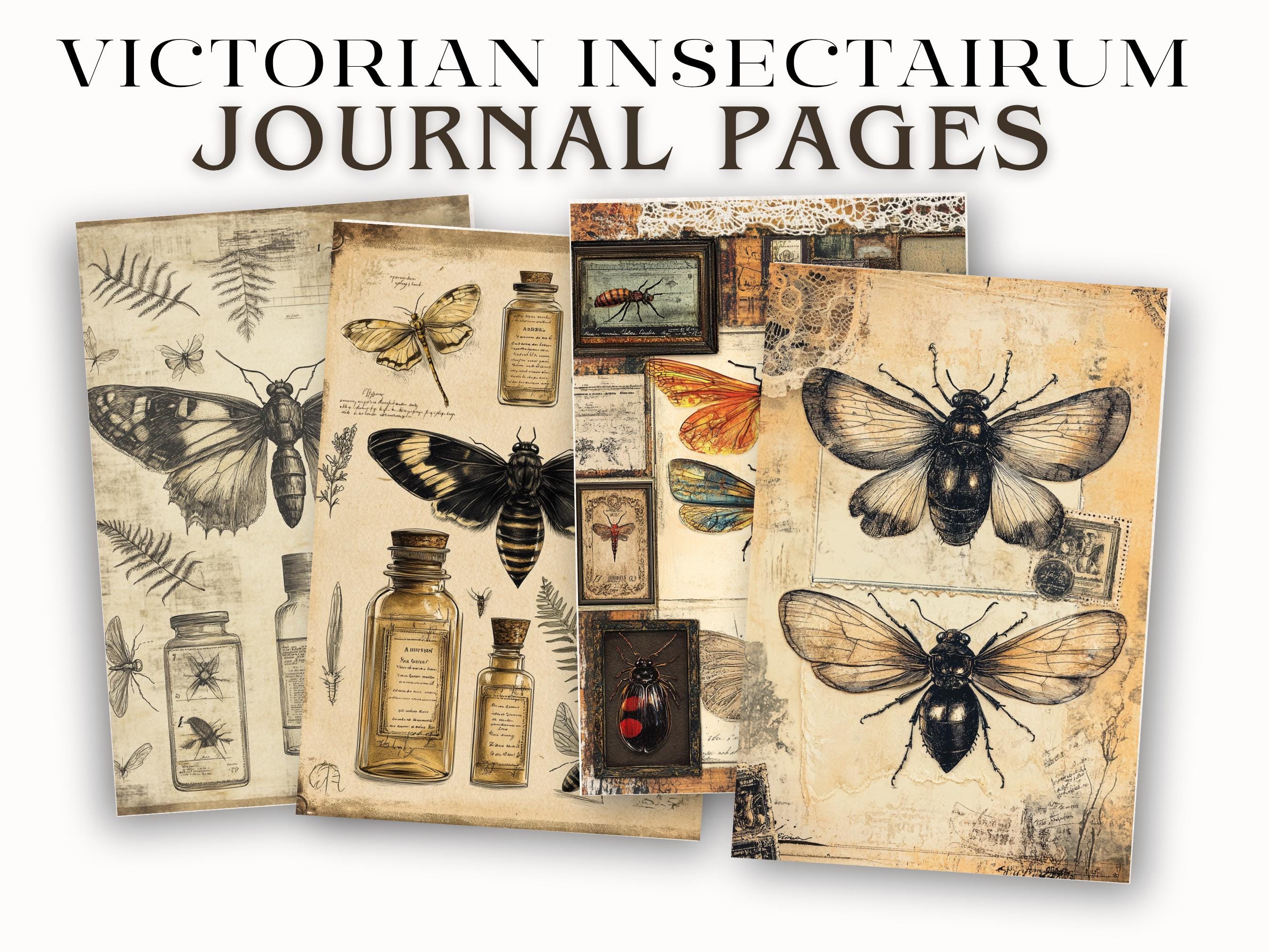 Victorian Insectarium Junk Journal Pages Set of 10 Printable 300 DPI ...
