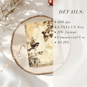 Victorian Bird Junk Journal Pages Printable Set Rustic Nature Ephemera ...