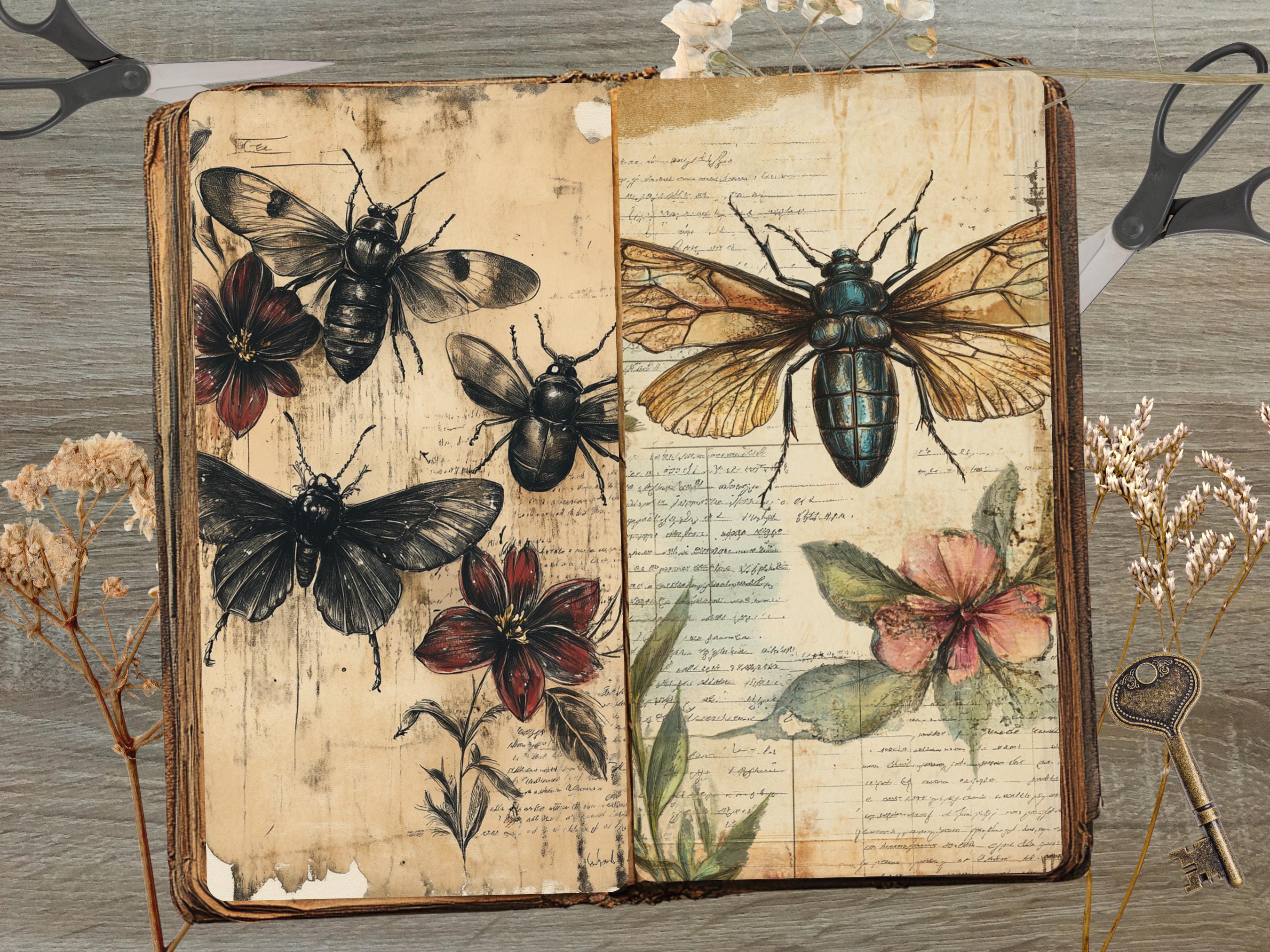 Victorian Insectarium Junk Journal Pages Set of 10 Printable 300 DPI ...