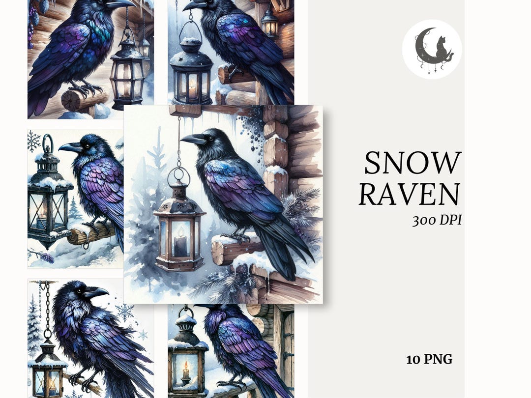 Snow Raven Watercolor Clipart Set of 10 High Quality 300 DPI Jpegs ...