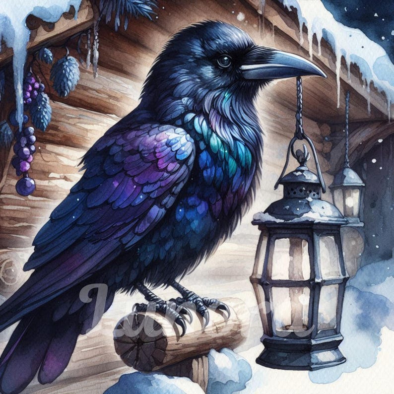 Snow Raven Watercolor Clipart Set of 10 High Quality 300 DPI Jpegs ...