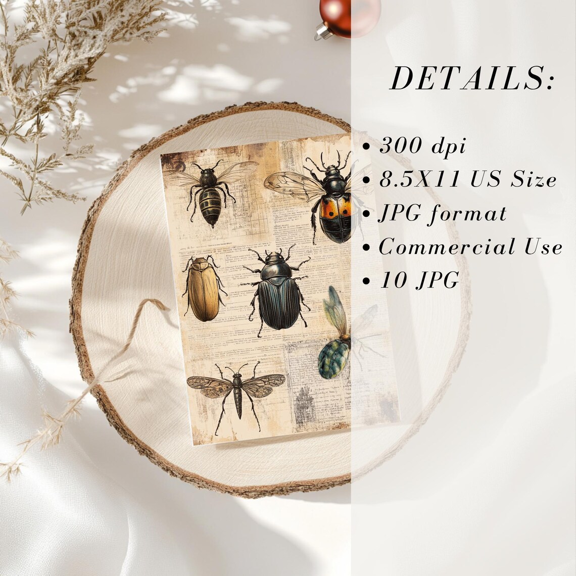Victorian Insectarium Junk Journal Pages Set of 10 Printable 300 DPI ...