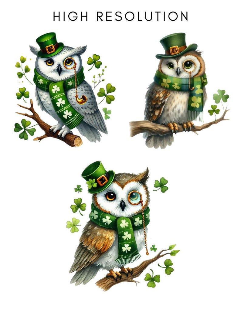 Watercolor Owl Clipart Set of 10 High Quality 300 DPI Pngs Adorable ...