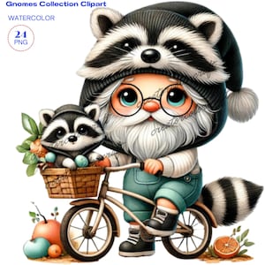 Raccoon Lover Gnome Clipart, Digital Download,animal Farm Gnome ...