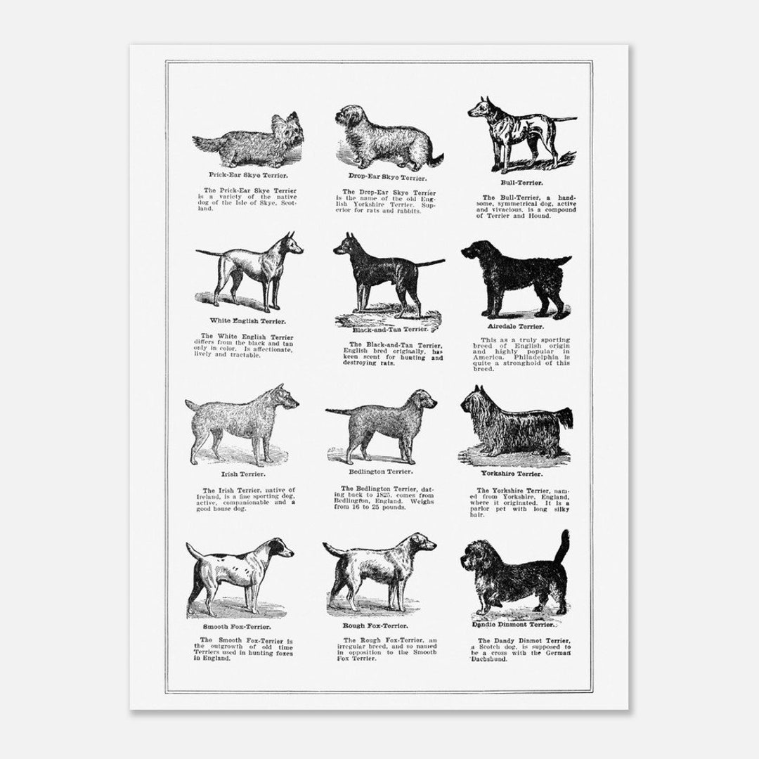 Dog Breed Print Gloss Finish - Etsy