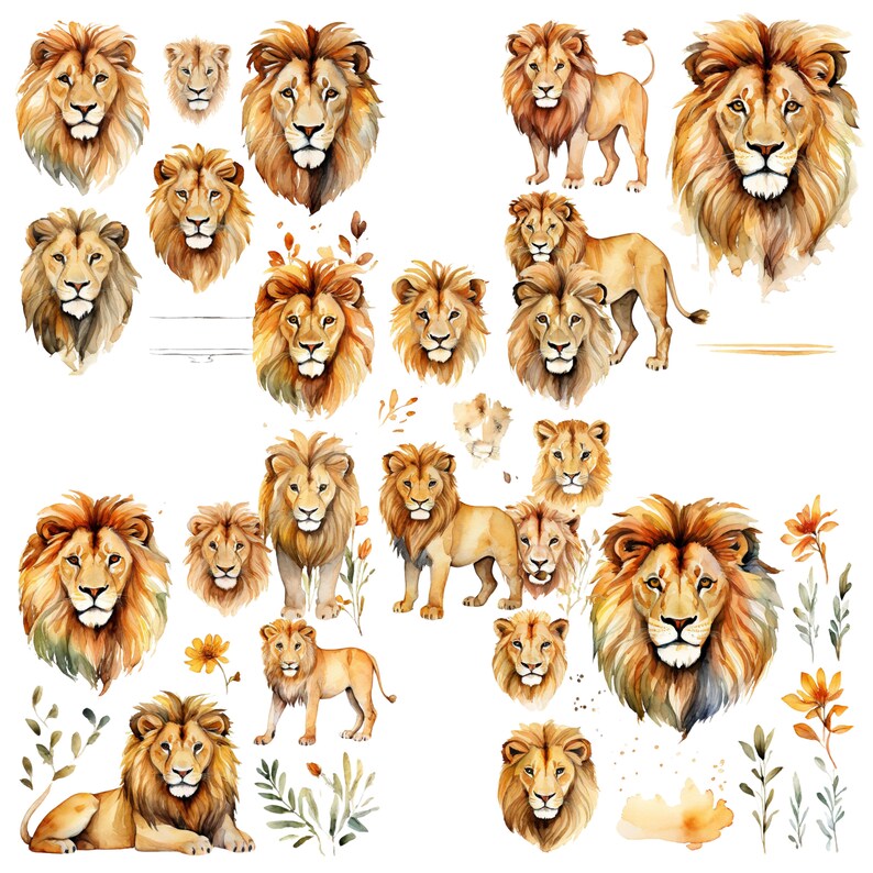 Watercolor Safari Lion Clip Art PNG Bundle ,t-shirt Printing Design ...