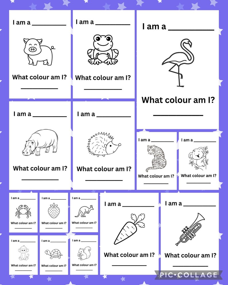 30 Pages Guess the Colour - Etsy